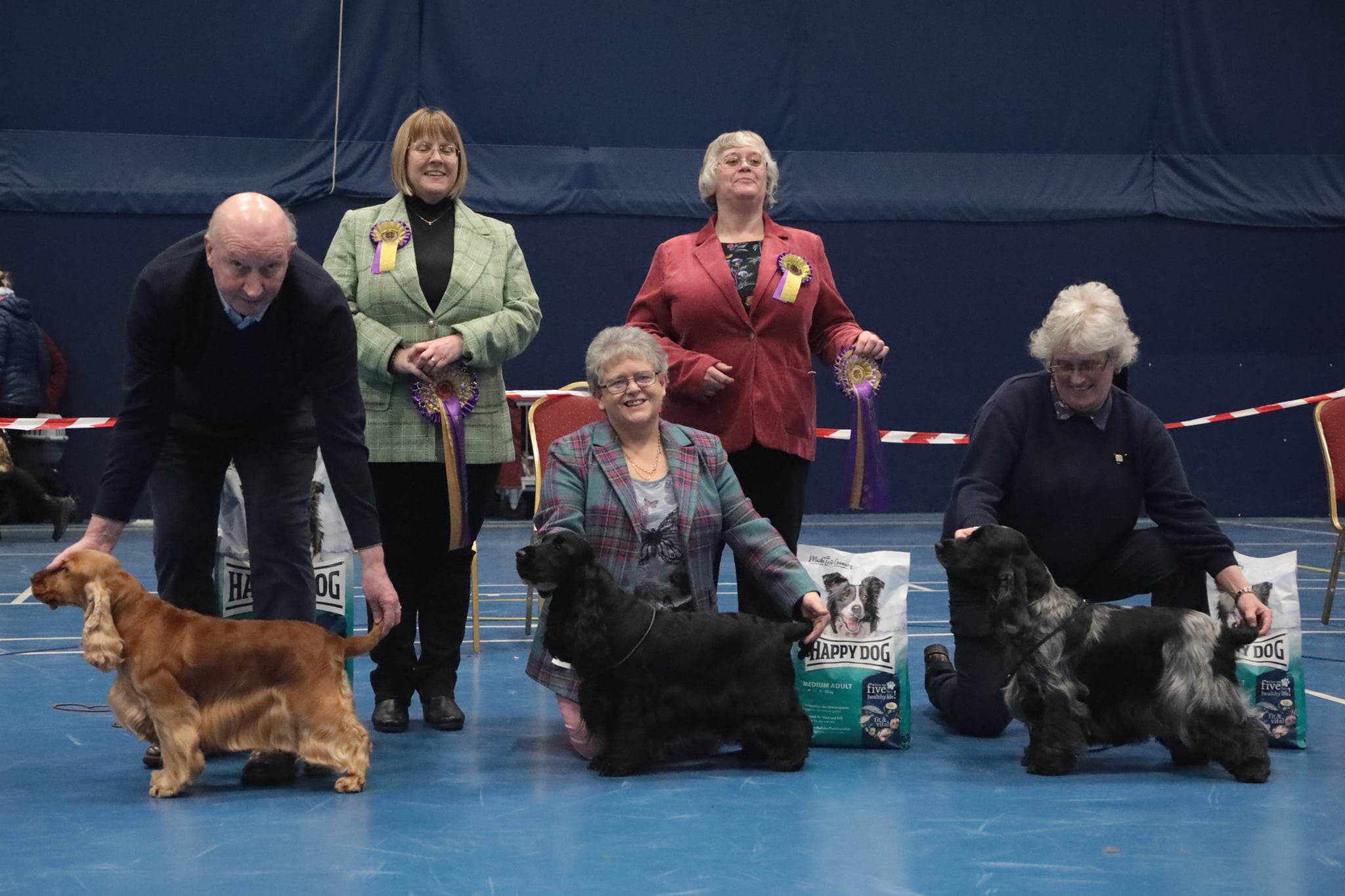 Home Counties Cocker - Championship Show Results February 2022